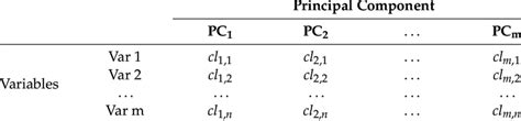 Principal Component Loadings Matrix Download Scientific Diagram