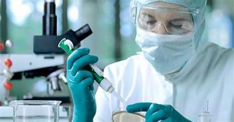 Breakthrough Stem Cell Research Might Have Been Fabricated Video