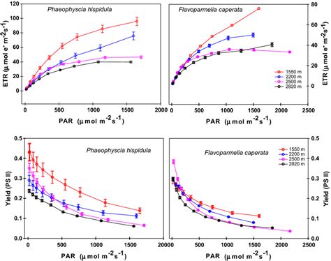 Responses Of Leaf Chlorophyll Fluorescence Parameters Quantum Yield Download Scientific