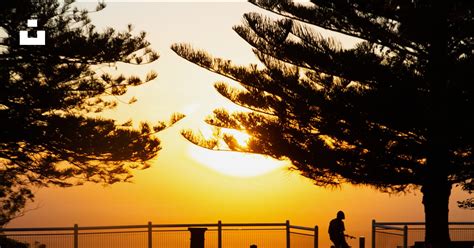 Silhouette Dhomme Et De Femme Assis Sur Un Banc Près Du Plan Deau