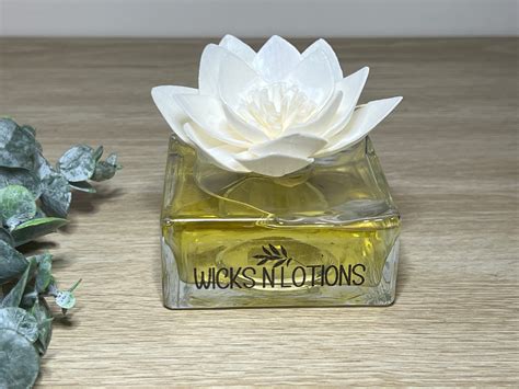 Sex On The Beach Room Diffuser Wicks N Lotions
