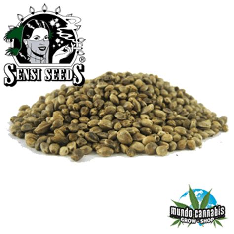 Sensi Seeds Super Skunk Sensi