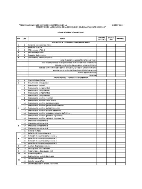 Indice General Pdf Presupuesto