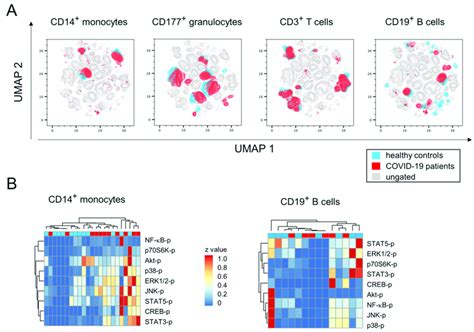 multidimensional flow cytometry and phosphoprotein analyses revealed
