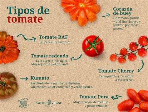 Los 5 tipos de tomates más importantes Verdes