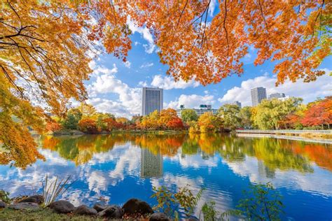 大自然 Visit Sapporo：札幌旅游信息官网