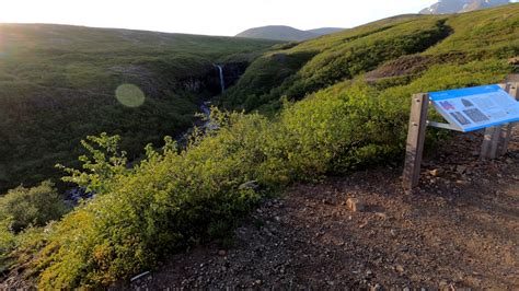 Iceland Svartifoss Waterfall Hike Tips And Info Iceland Hiking