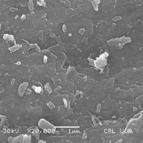 Decomposition Of Hydrogen Peroxide On Mno2 As A Function Of Time At