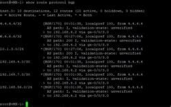 How To Configure Bgp On Juniper Router Bluemap Blogs