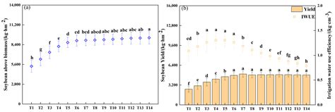 Soybean Yield Simulation And Sustainability Assessment Based On The