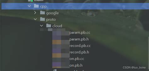 Google Protobuf 实践使用开发_com.google.protobuf:protoc-CSDN博客