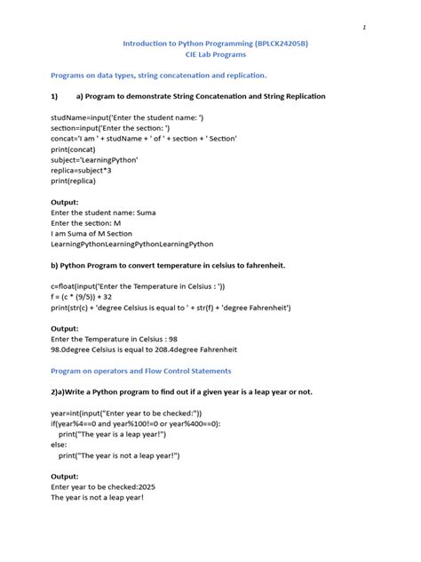 Python Programming Basics 2025 Pdf String Computer Science Filename