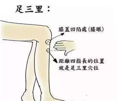 曲池准确位置图和功效 内庭准确位置图和效 合谷准确位置图和效 第5页 大山谷图库
