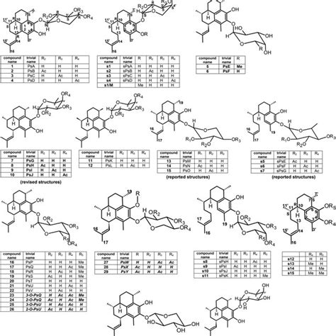 Revised Possible Sugar Structures Of Psm And Spse Download