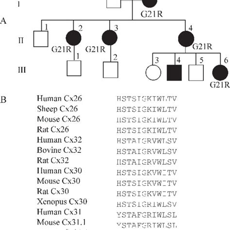 Dominant Mutations In The Connexin 26 Protein Non Syndromic Mutations