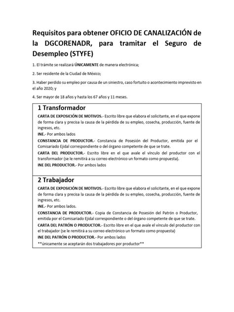 Requisitos Styfe Ciic 4 Pdf