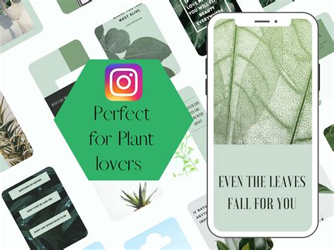 20 Plant Lover Instagram Story Templates Canva Instagram Templates