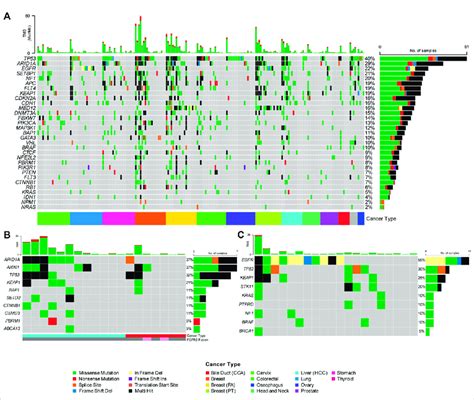 A Single Nucleotide Variation And Short Indels Snv Indels Detected