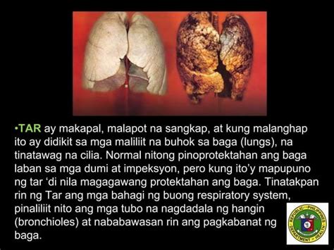 Copd And Smoking Cessation Pptx Smoking Cessation Wellness