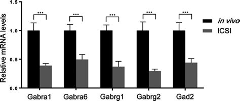 Validation Of The Microarray Data Using Rt‐qpcr A Qpcr Analysis Of