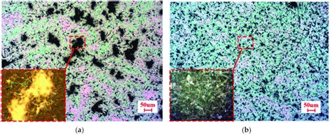 The Diamond Nanoparticle Dn Silicon Carbide Whisker Scw Polyimide Download Scientific