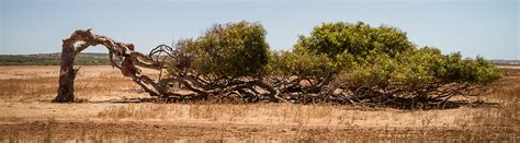 Lean Data Practices Helping Businesses And Developers Be More Privacy