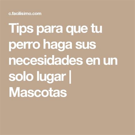 Consejos Para Que Tu Perro Haga Sus Necesidades En Un Solo Lugar