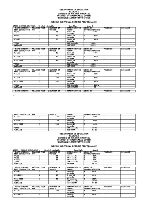 Reading Report Pdf