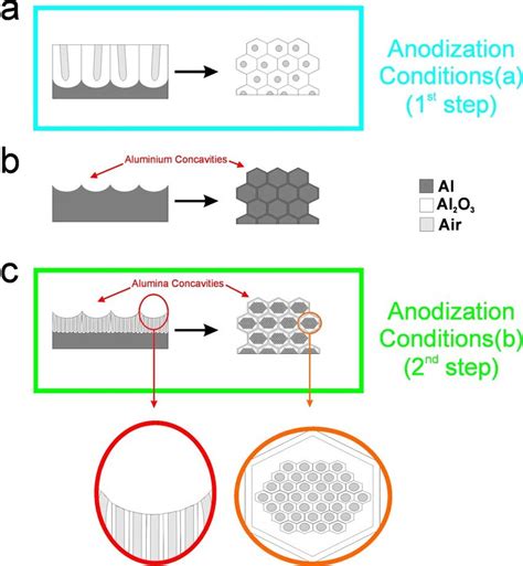 16 Schematic Cross Section And Top Views Describing The Asymmetric