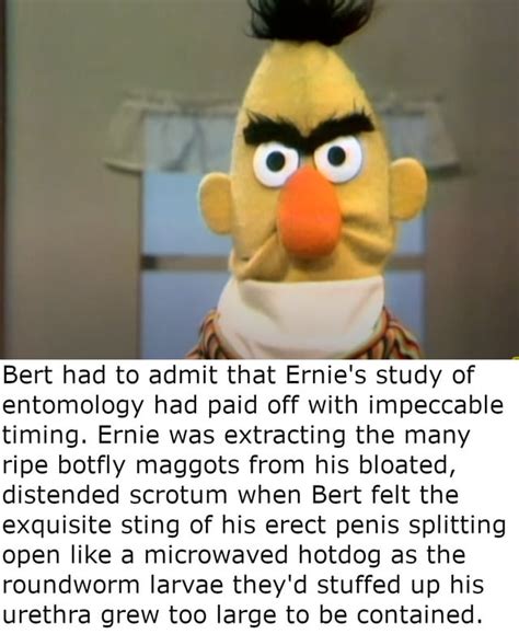 Bert Resolved To Never Call Ernie A Nerd Again For Reading Books About