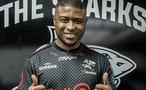 2023 24 Urc Preview Sharks