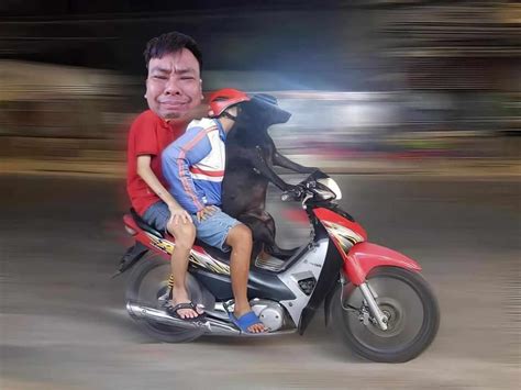 វិបុល រចនា