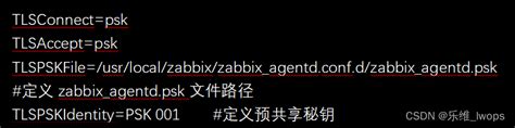 zabbix技术分享——proxy加密代理：共享密钥 psk 加密与证书加密 zabbix 配置 加密 csdn博客