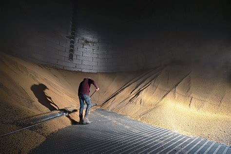 Funds Lower Risk In Cbot Corn Soy Ahead Of Pivotal Us Data Klse Screener