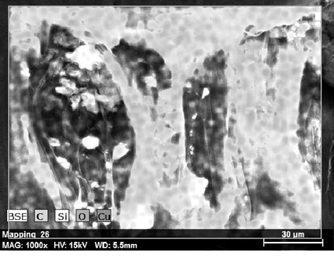 Figure 3 From Evaluation Of A New Technique For Preparation Of Hdpe Silica Nanocomposites