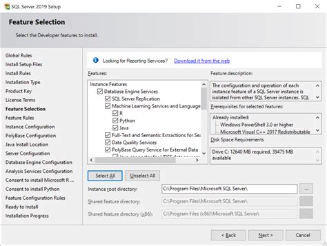 Sql Server Installation Developer Edition Custom