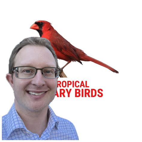 Releasing Finches In The Outdoor Bird Aviary Tropical Aviary Birds
