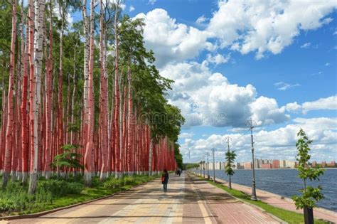 Abstract Technologies In A Modern City With Wireless Networks And Smart Infrastructure Stock