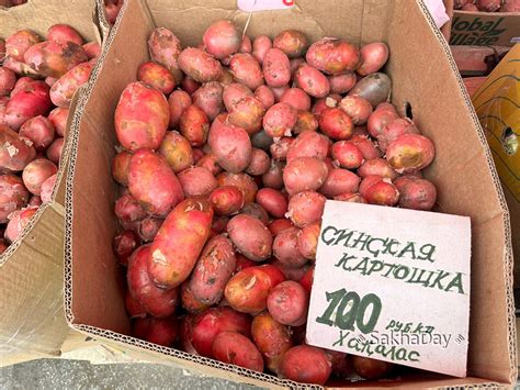 Сколько стоят овощи на рынке Якутска