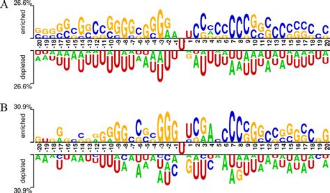 Nucleotide Composition Analysis The Panel Above Position 0 Represents Download Scientific