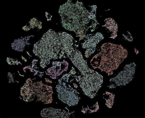 A 500 Million International Project Will Create The Most Detailed Map Of The Brain Ever