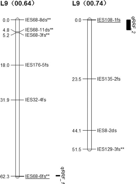 Qtls For Resistance To Root Rot Identified In The Longshu 9 Linkage
