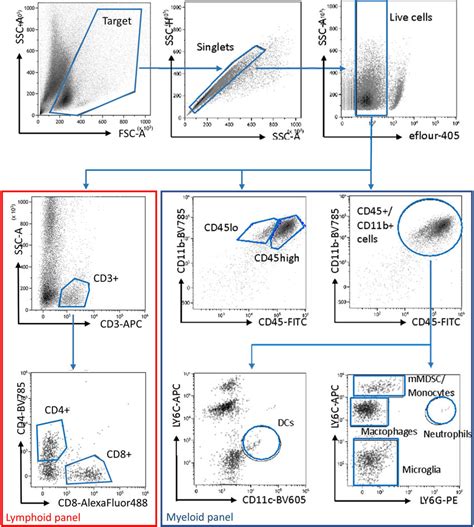 basics of flow cytometry part i gating and data analysis gating