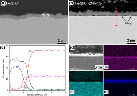 Bse Sem Cross Sections Of A Fe25cr And B Fe25cr2mn1si After