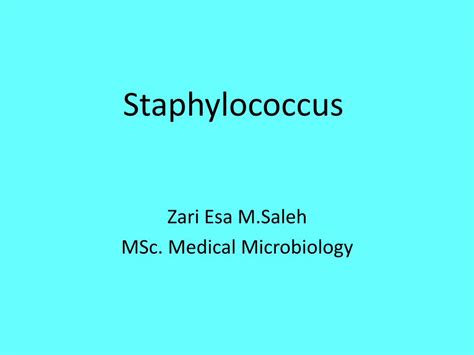 Pdf Staphylococcus Spp Dokumentips