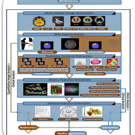 Perfermance Of Models Based Transfer Learning Download Scientific Diagram