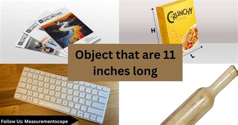 14 Common Objects That Are 5 Centimeters Long Measurement Scope