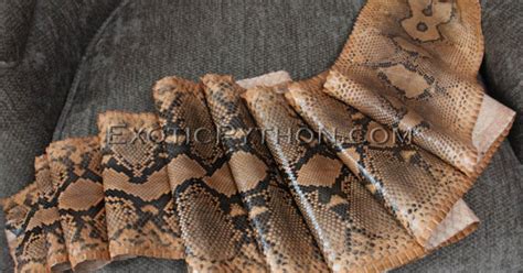 Python Skin Gloss Brown Exotic Python