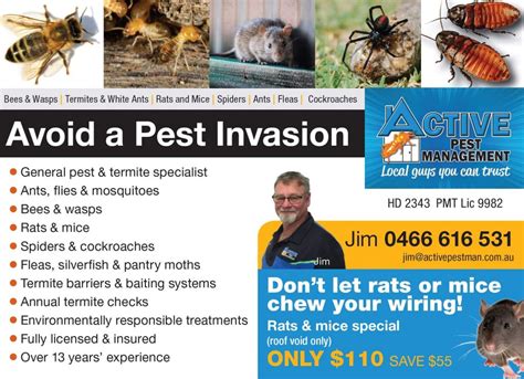 Specials Active Pest Management Perth Pest Control Specialist