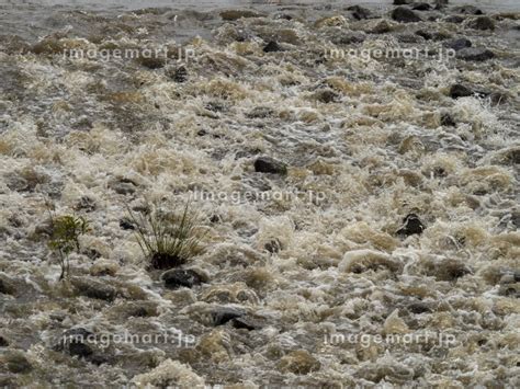 大雨で氾濫した河川の風景の写真素材 223452014 イメージマート